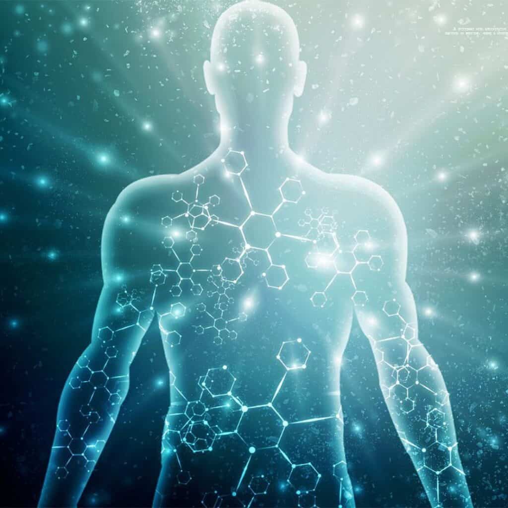 Whole Body Health Test - DNA ConneXions